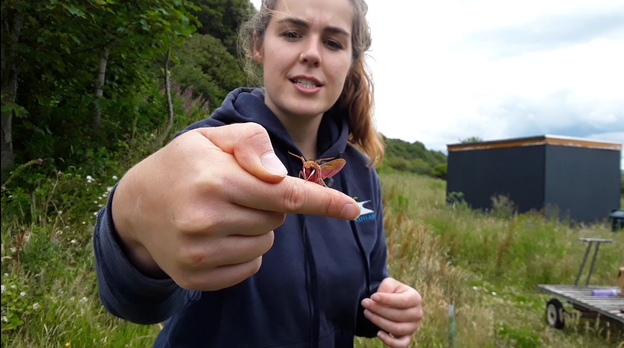 About Me – Christina Sinclair